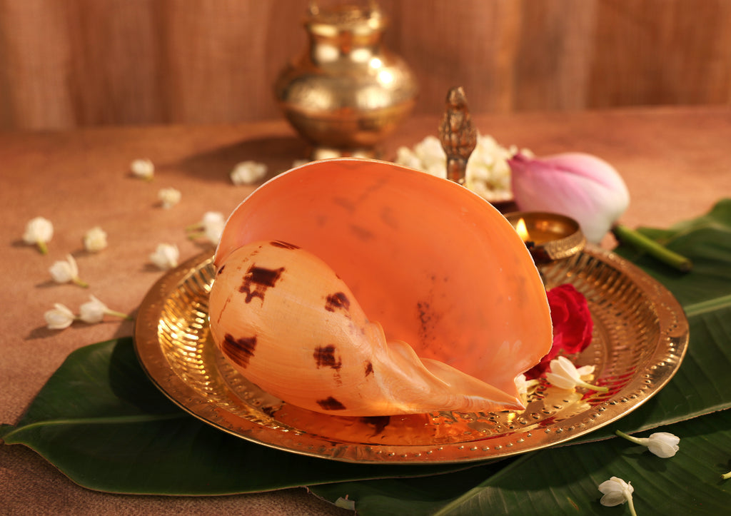 Catalogue – Pujashree